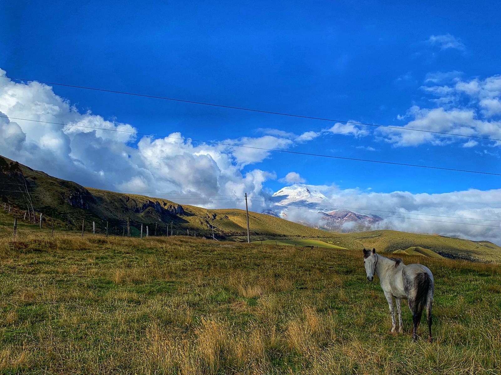 Cayambe Lower Hut – Travels With Burma Jones